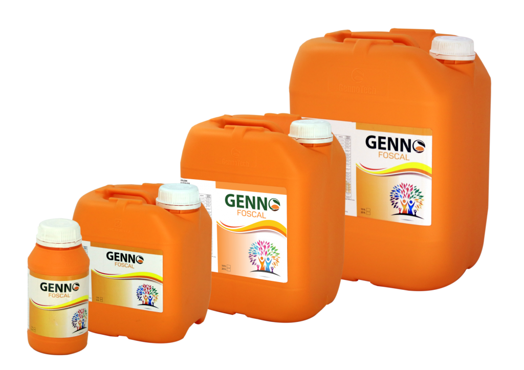 GENNO FOSCAL – GennoTech