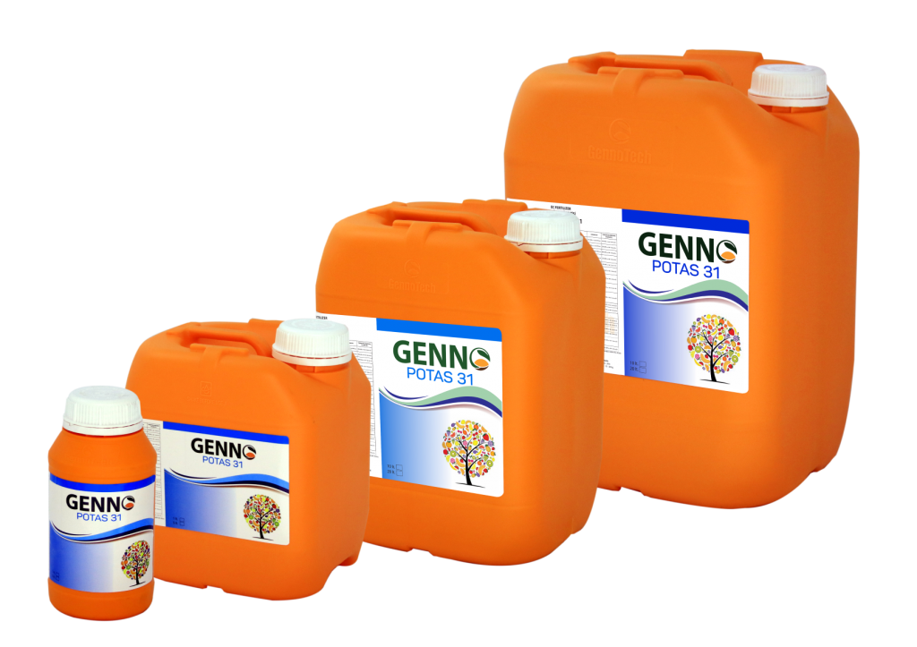 GENNO POTAS 31 – GennoTech